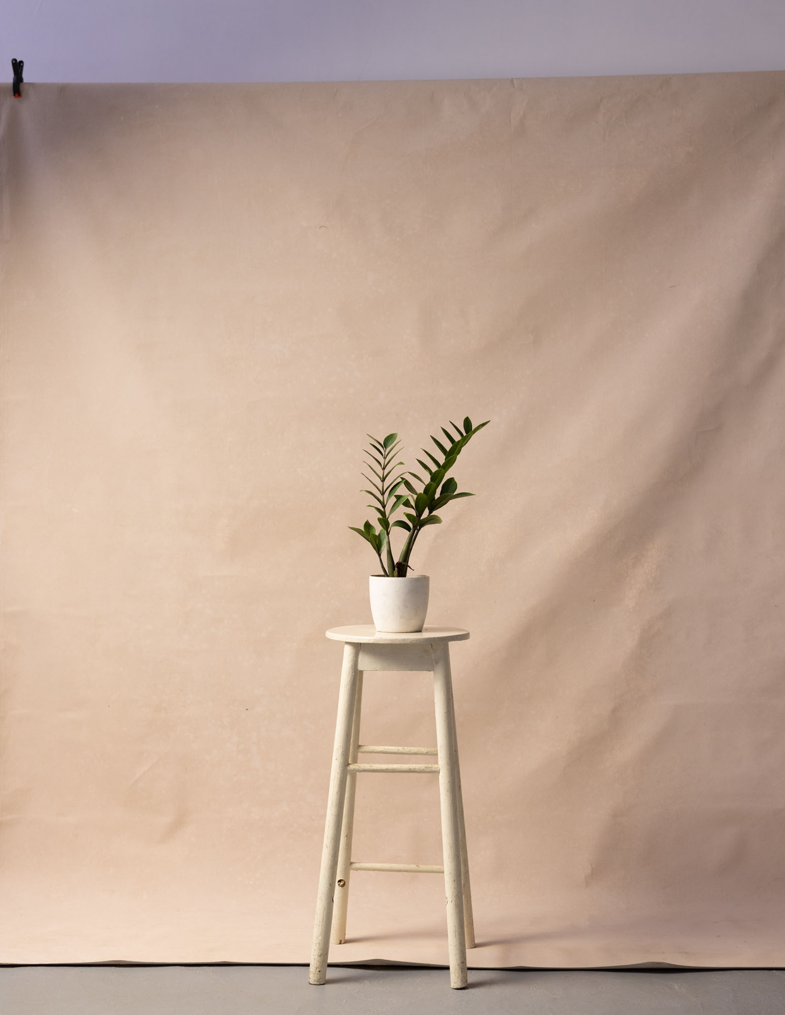 Antique Brass Painted Canvas Backdrop (RN#215) - Zen Backdrops