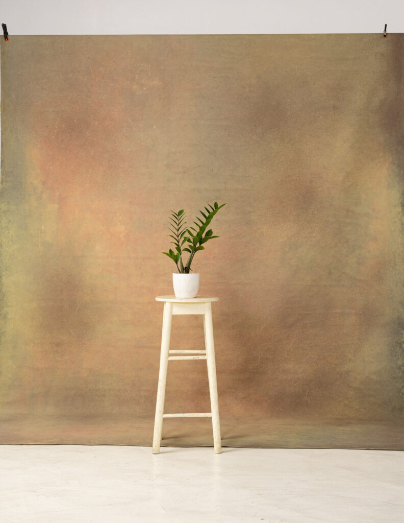 Earth Painted Canvas Backdrop (RN#16) - Zen Backdrops