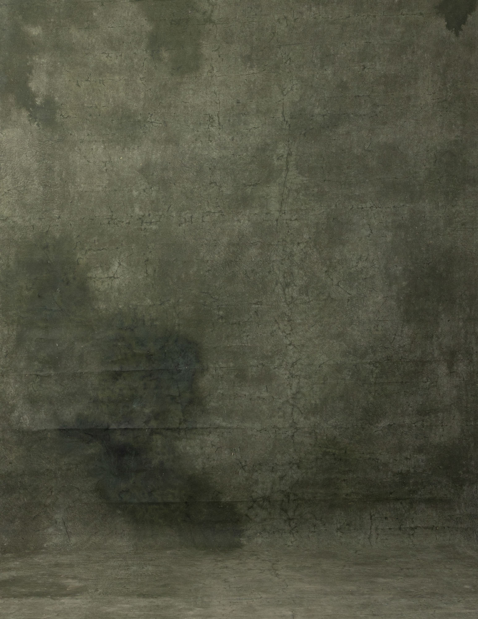 Pine Cone Painted Canvas Backdrop (RN#31) - Zen Backdrops