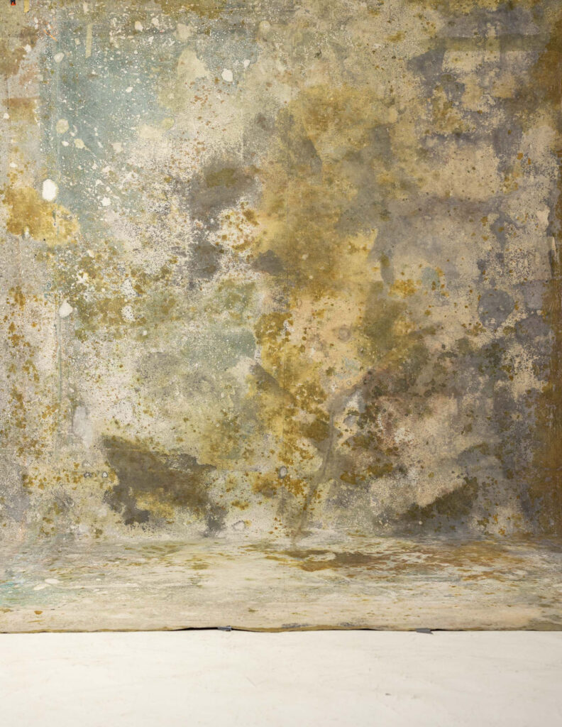 Sandstone Painted Canvas Backdrop (RN#32) - Zen Backdrops