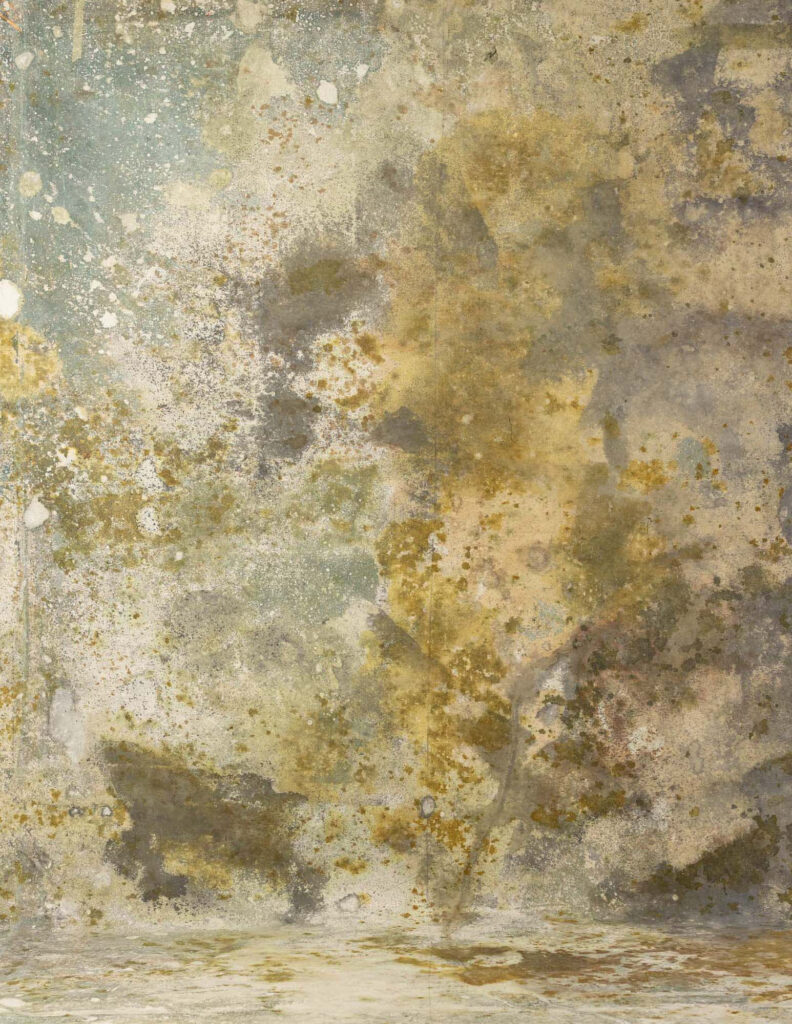 Sandstone Painted Canvas Backdrop (RN#32) - Zen Backdrops