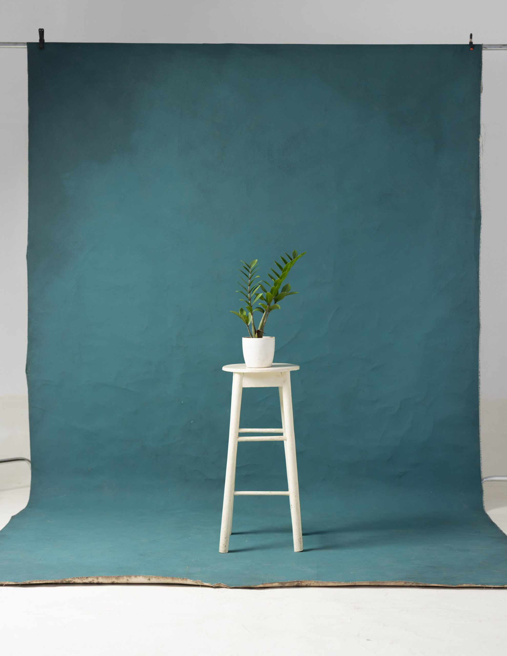 Casal Painted Canvas Backdrop (RN#37) - Zen Backdrops