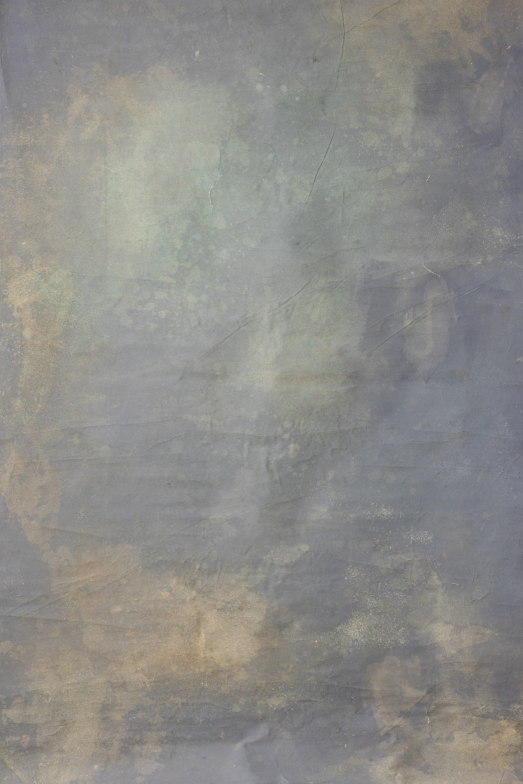 Concord Digital Backdrop (DB#10165) - Zen Backdrops