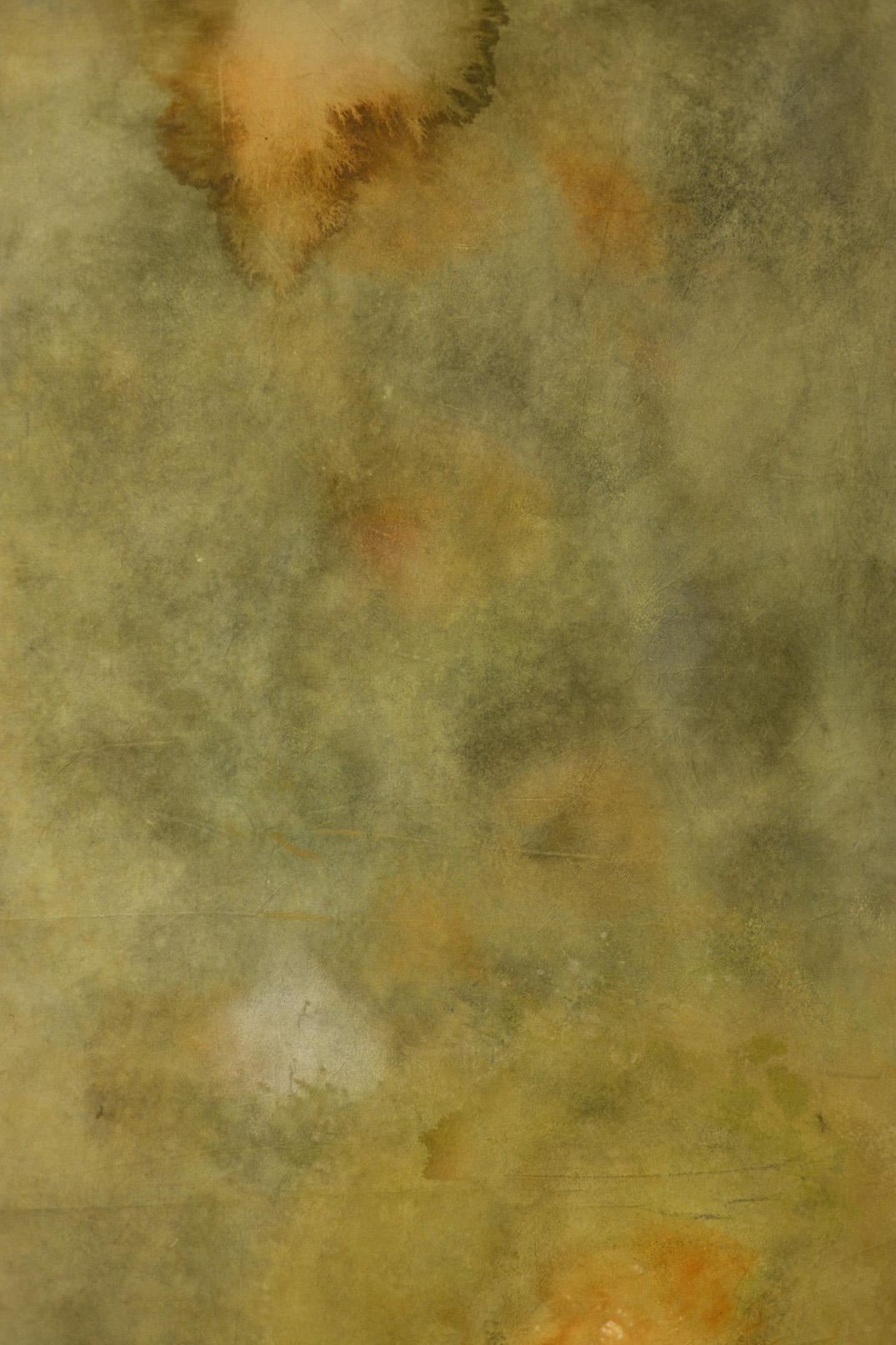 Himalaya Digital Backdrop (DB#10110) - Zen Backdrops