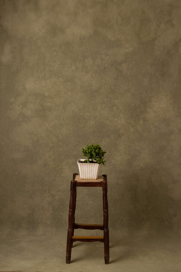 Dry Spyro Green Painted Canvas Backdrop (RN#323) - Zen Backdrops