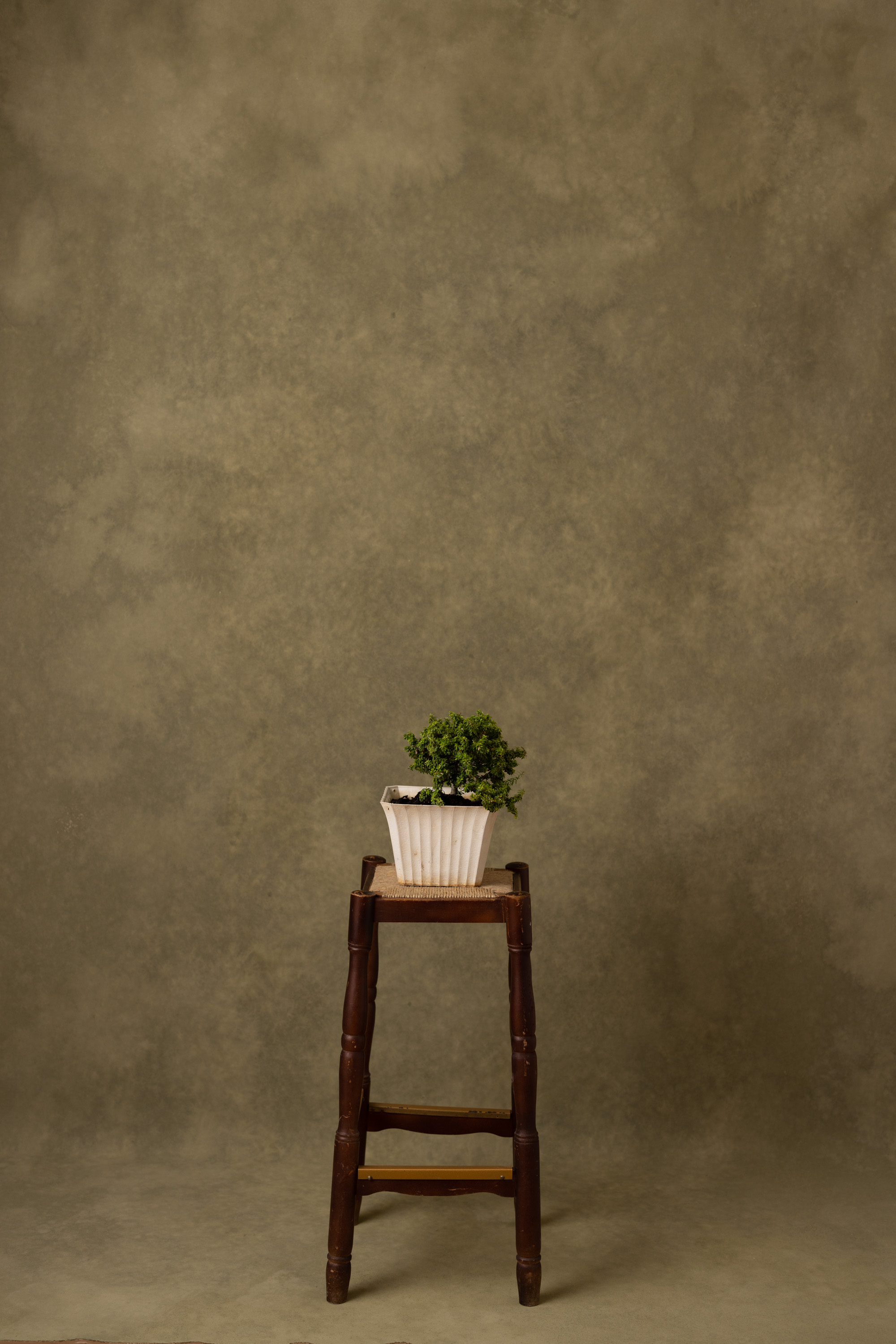Dry Spyro Green Painted Canvas Backdrop (RN#323) - Zen Backdrops