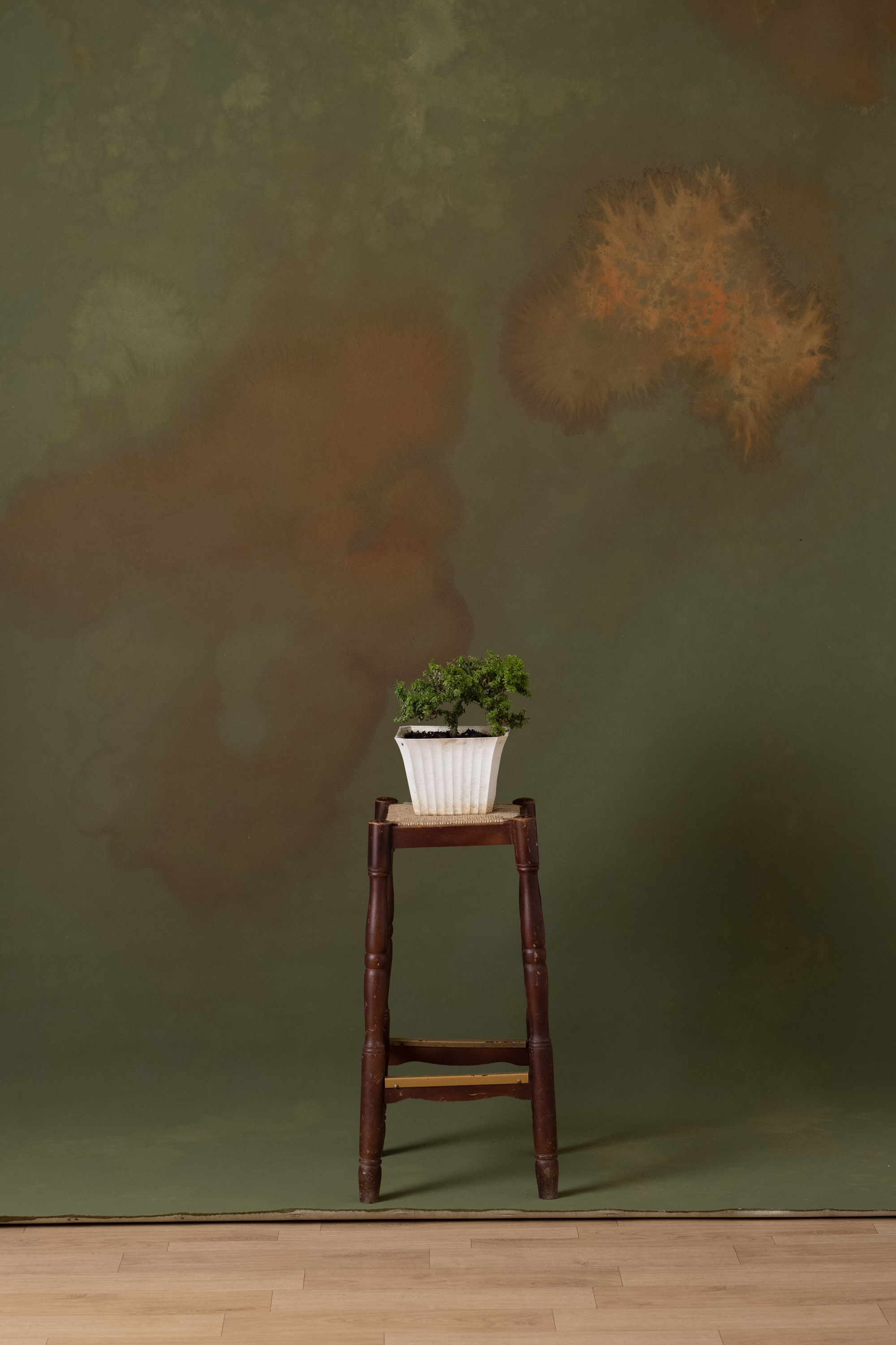 Olive Green Painted Canvas Backdrop (RN#341) - Zen Backdrops