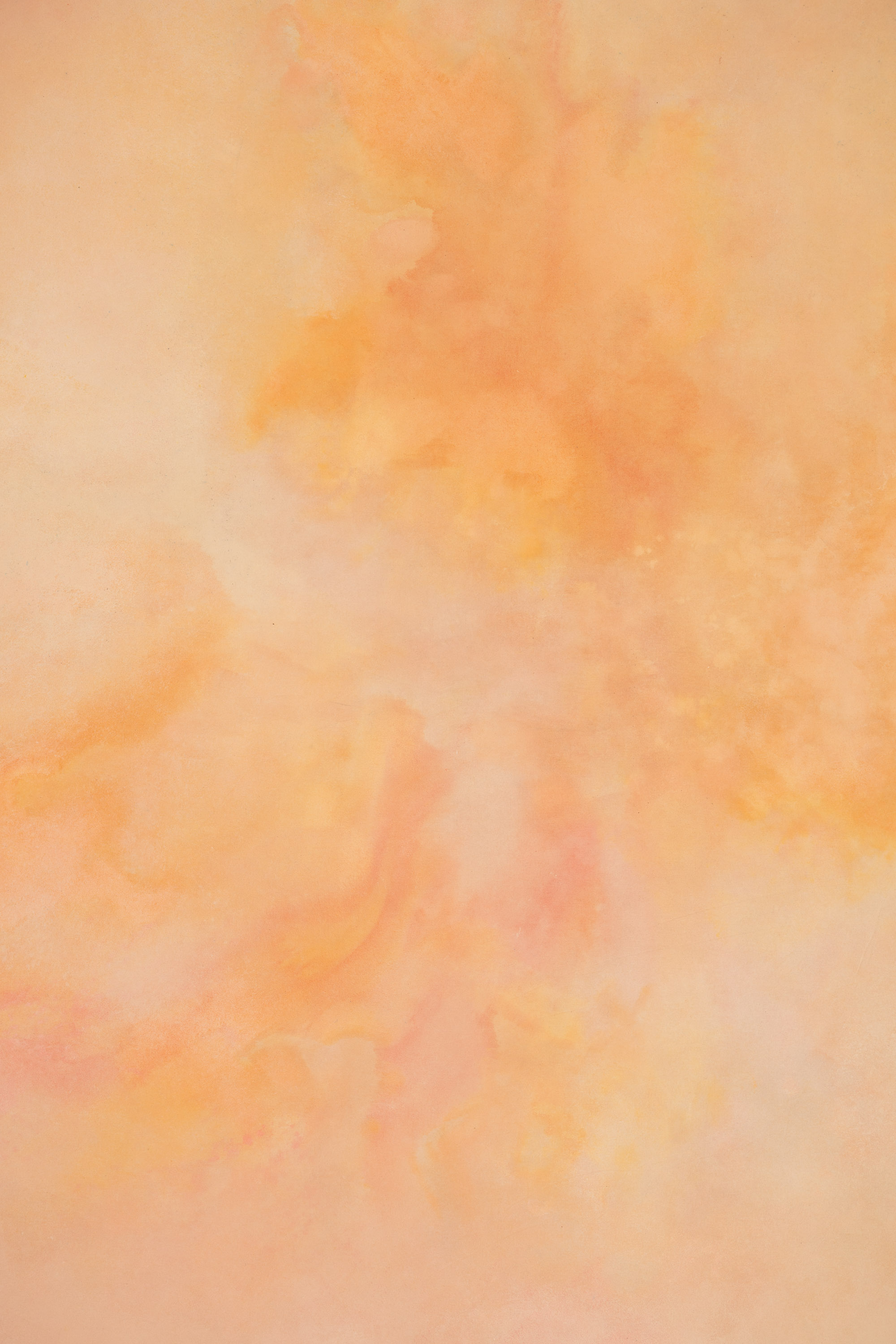 Rusty Pink Painted Canvas Backdrop (RN#349) - Zen Backdrops