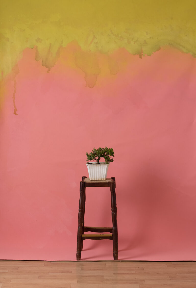 TulipPink Painted Canvas Backdrop (RN#342) - Zen Backdrops