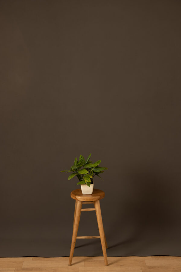 Midnight Moss Painted Canvas Backdrop (RN#400) - Zen Backdrops