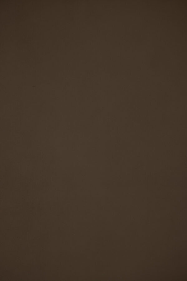 Midnight Moss Painted Canvas Backdrop (RN#400) - Zen Backdrops