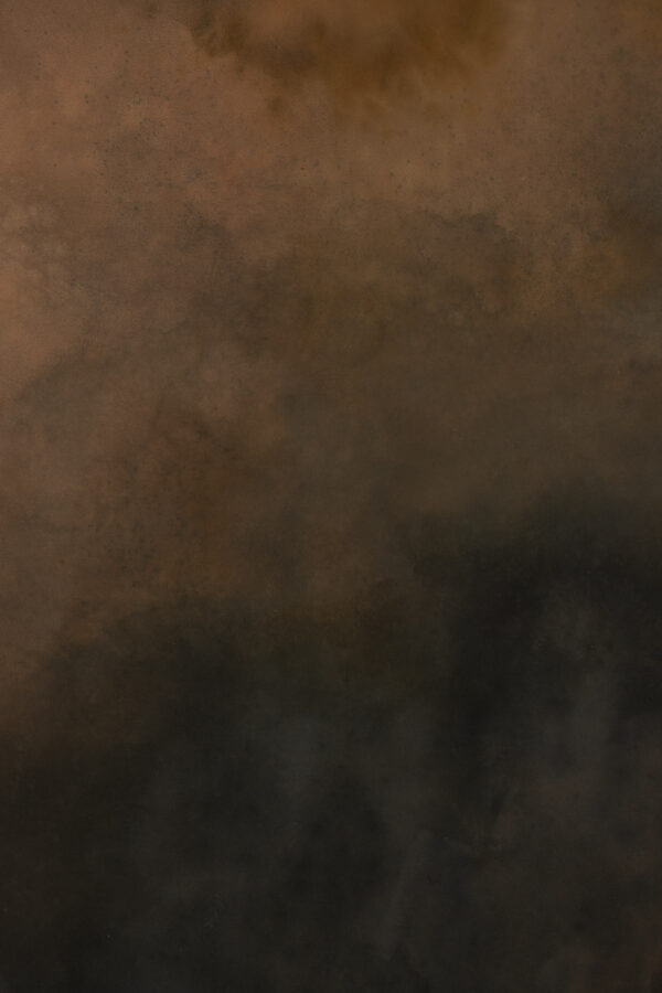 Midnight Moss Painted Canvas Backdrop (RN#400) - Zen Backdrops