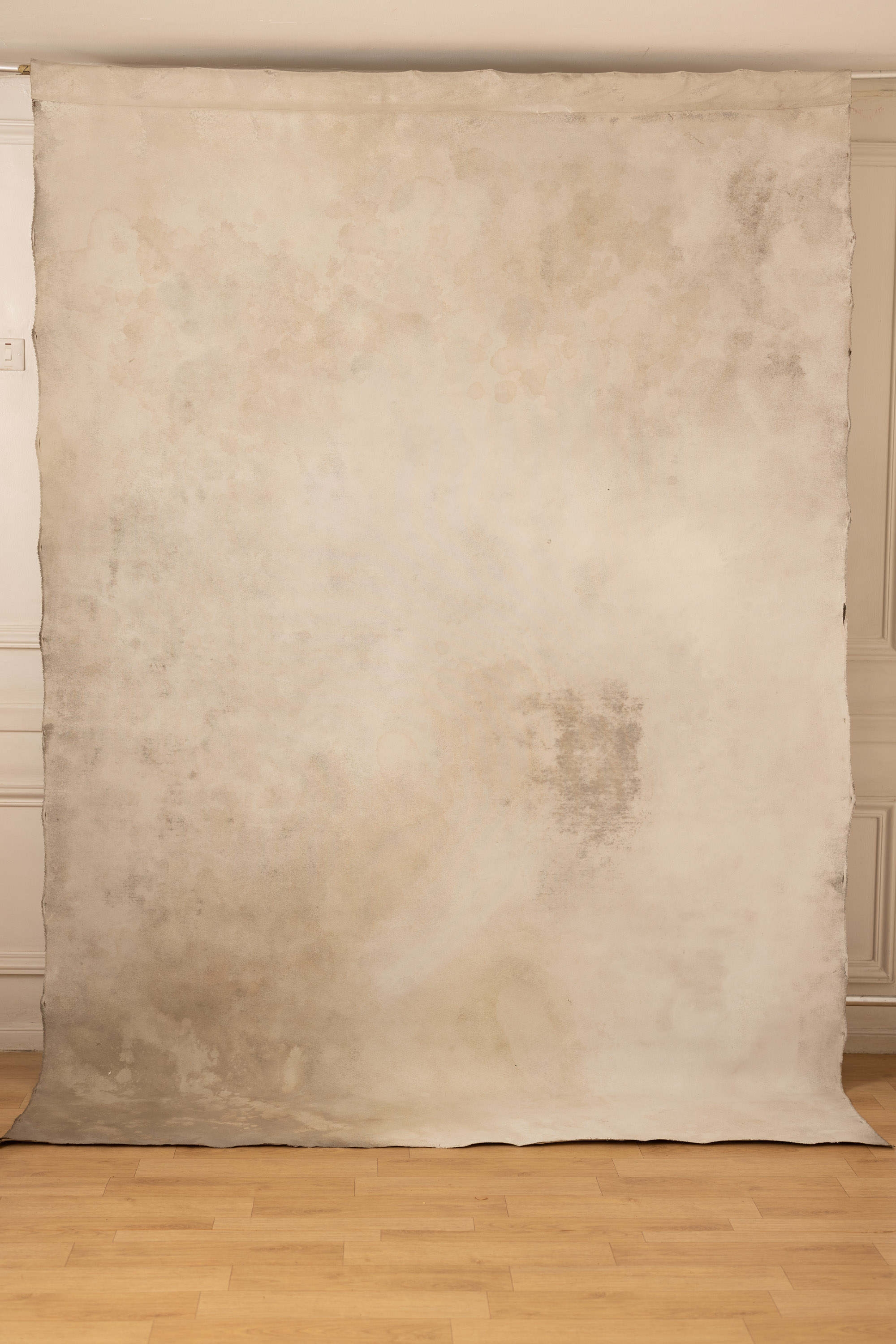 Satin Linen Painted Canvas Backdrop (SL#401) - Zen Backdrops