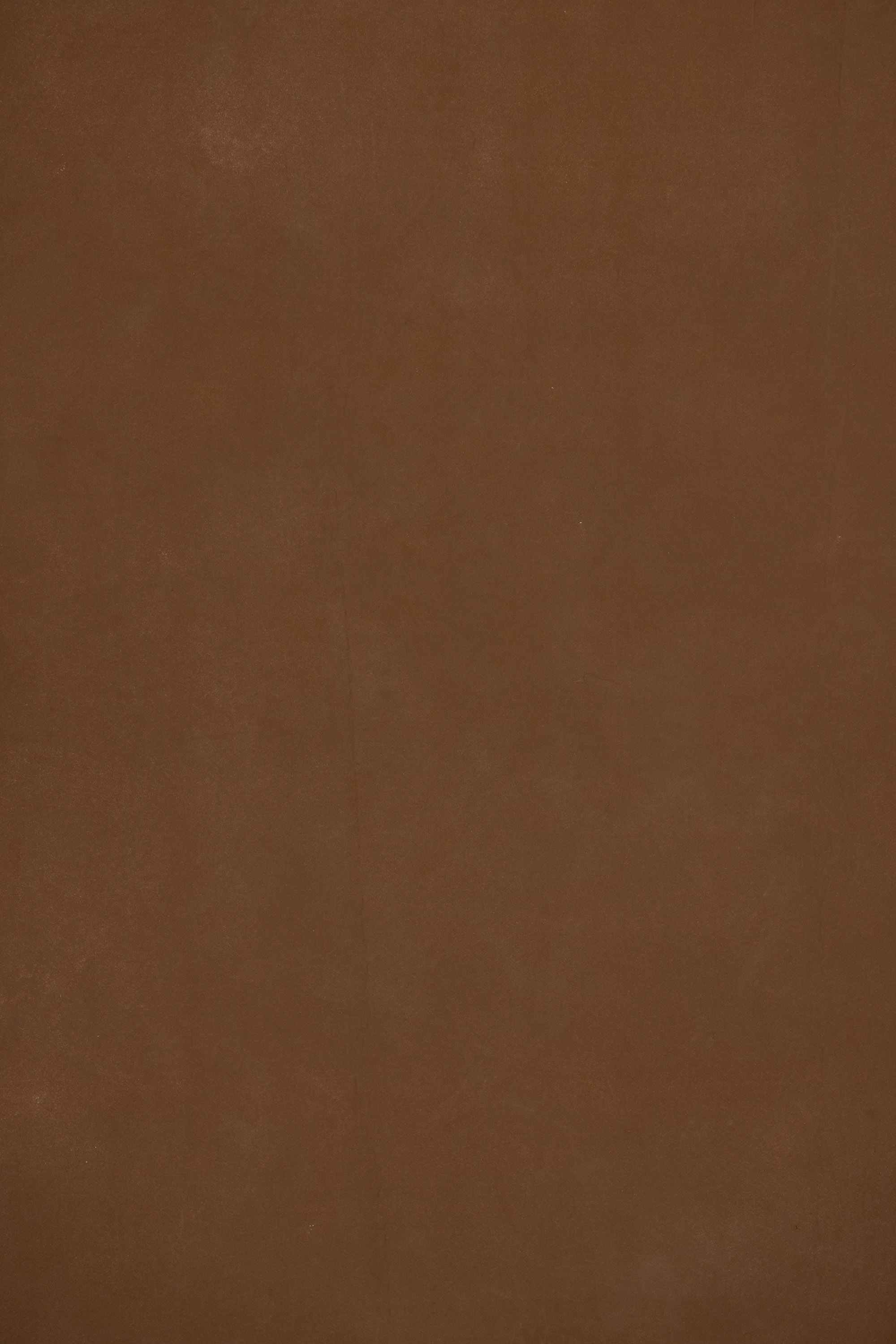 Earthy Walnut Painted Canvas Backdrop (RN#482) - Zen Backdrops