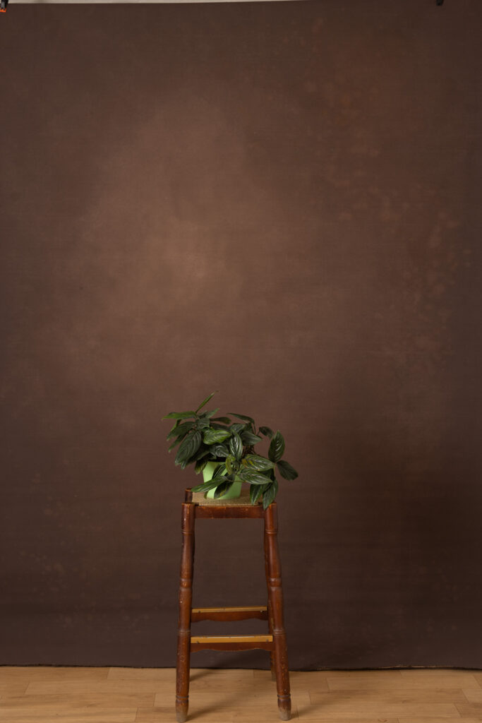 English Walnut Painted Canvas Backdrop (RN#506) - Zen Backdrops